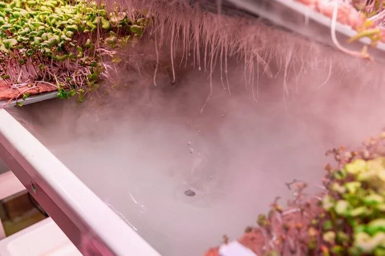 Aeroponic Farming | Vertical Farm Containers | LettUs Grow