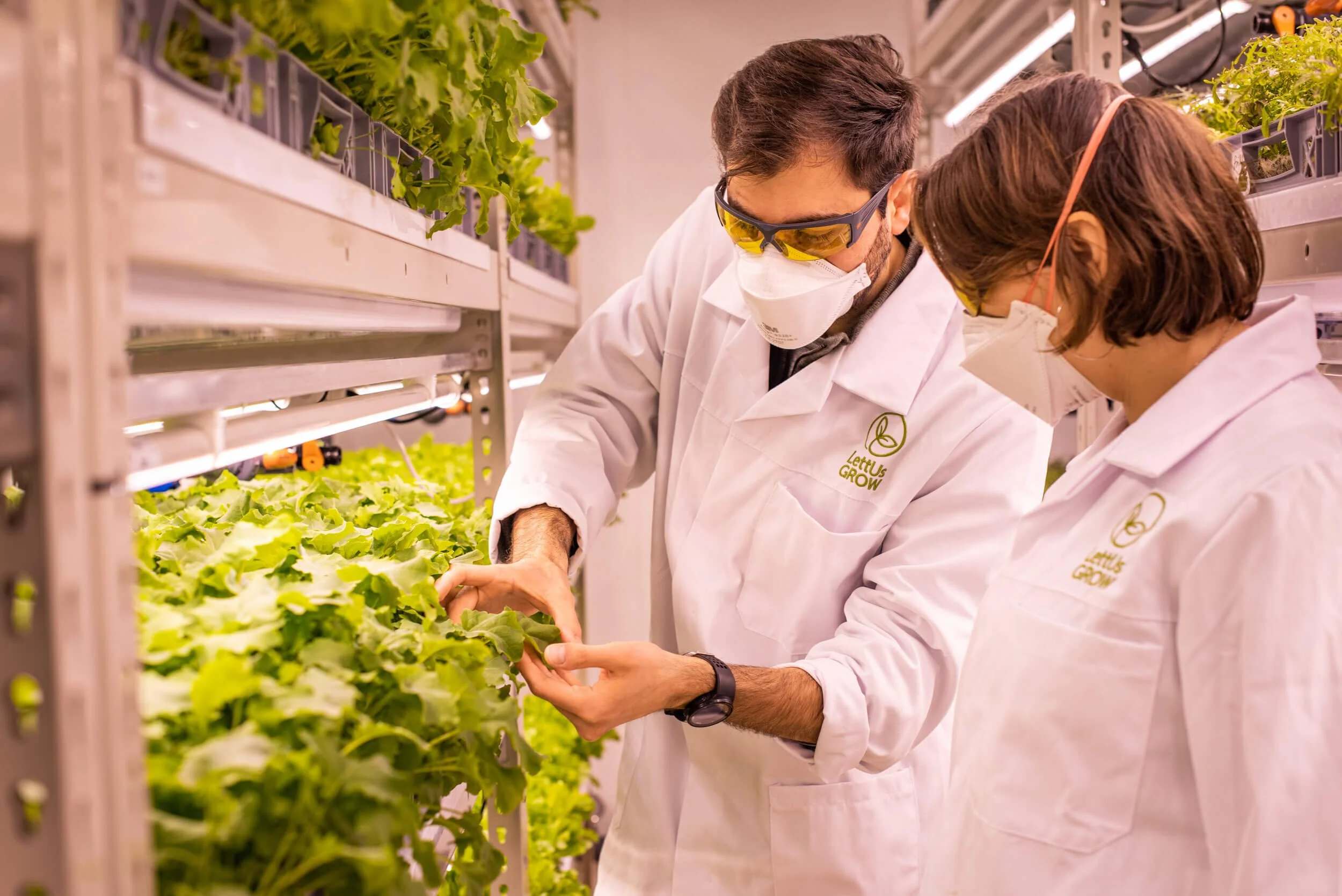 Aeroponic Farming | Vertical Farm Containers | LettUs Grow