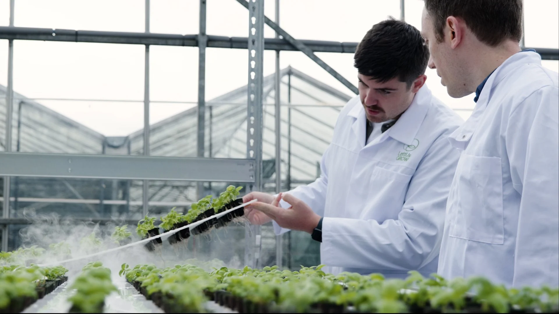 Aeroponic Technology & Container Farm News | LettUs Grow