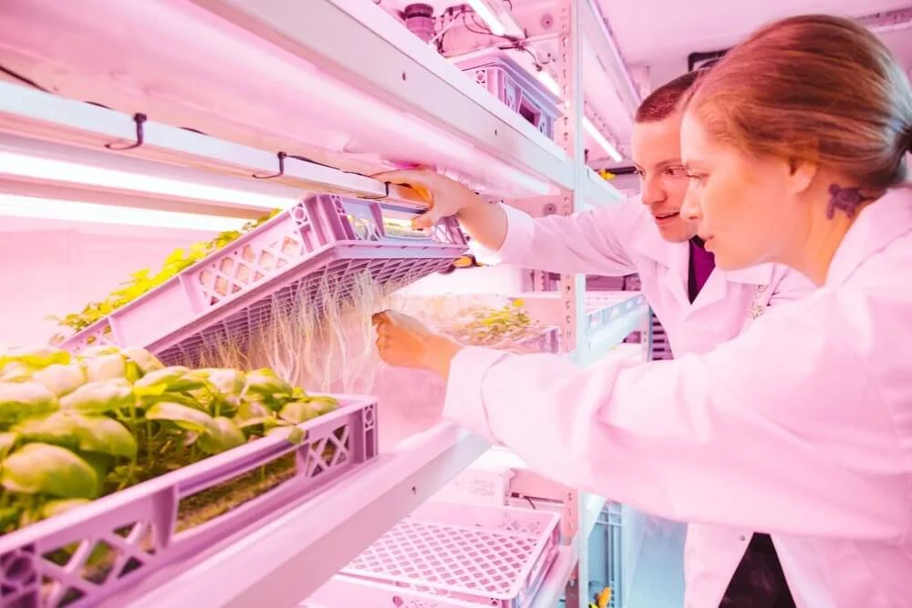 Aeroponic Technology | Indoor Farming | LettUs Grow