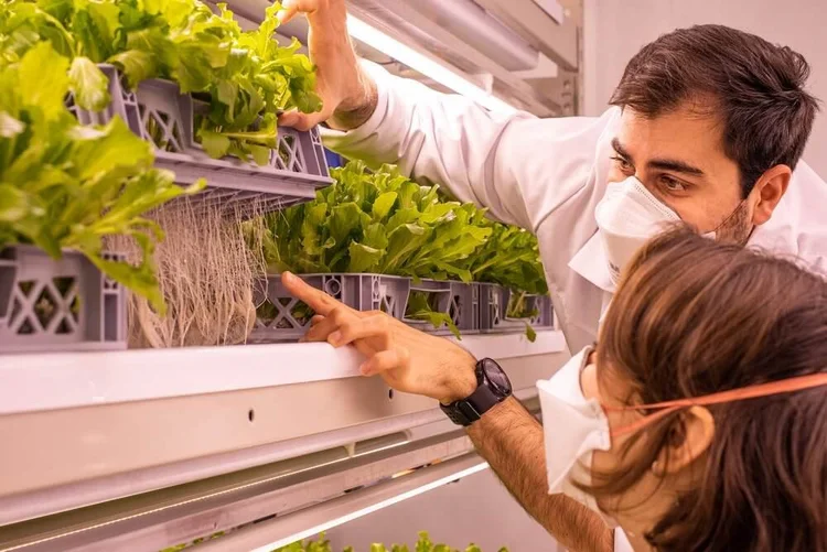 Aeroponic Technology | Indoor Farming | LettUs Grow