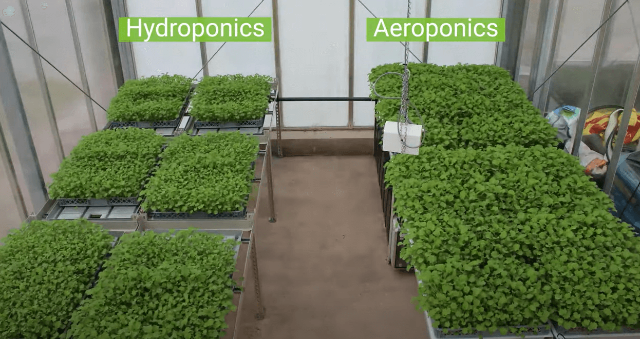 Aeroponic Technology | Indoor Farming | LettUs Grow