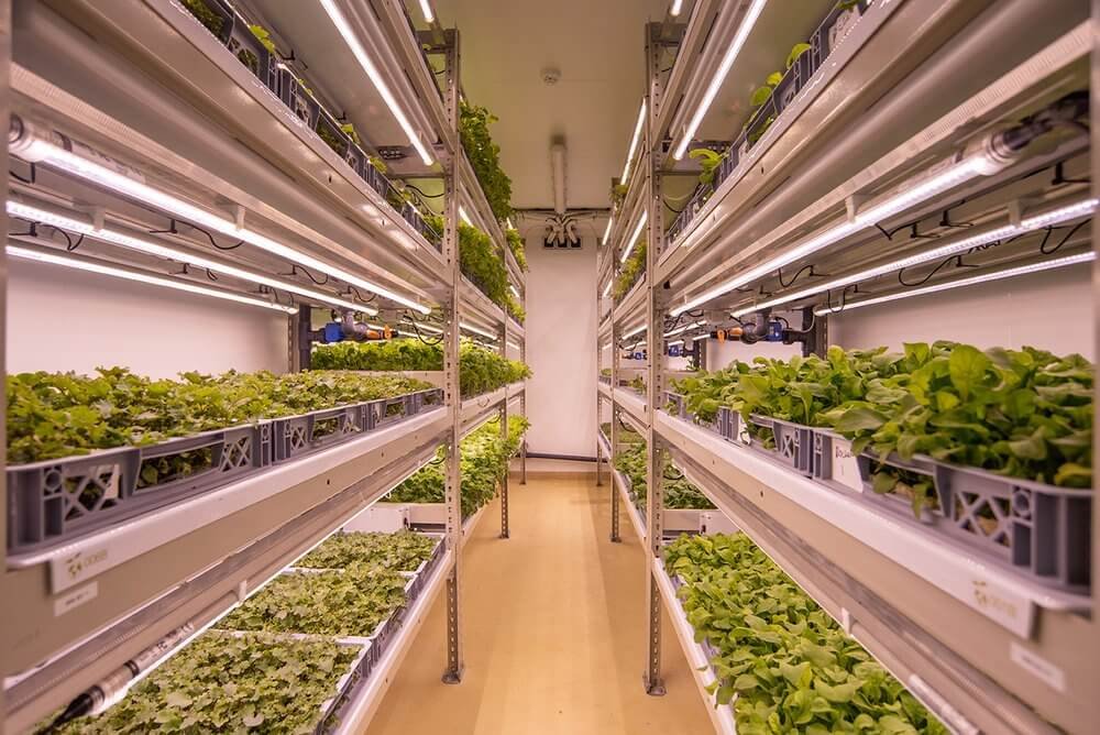 What is the future of high-tech farming?