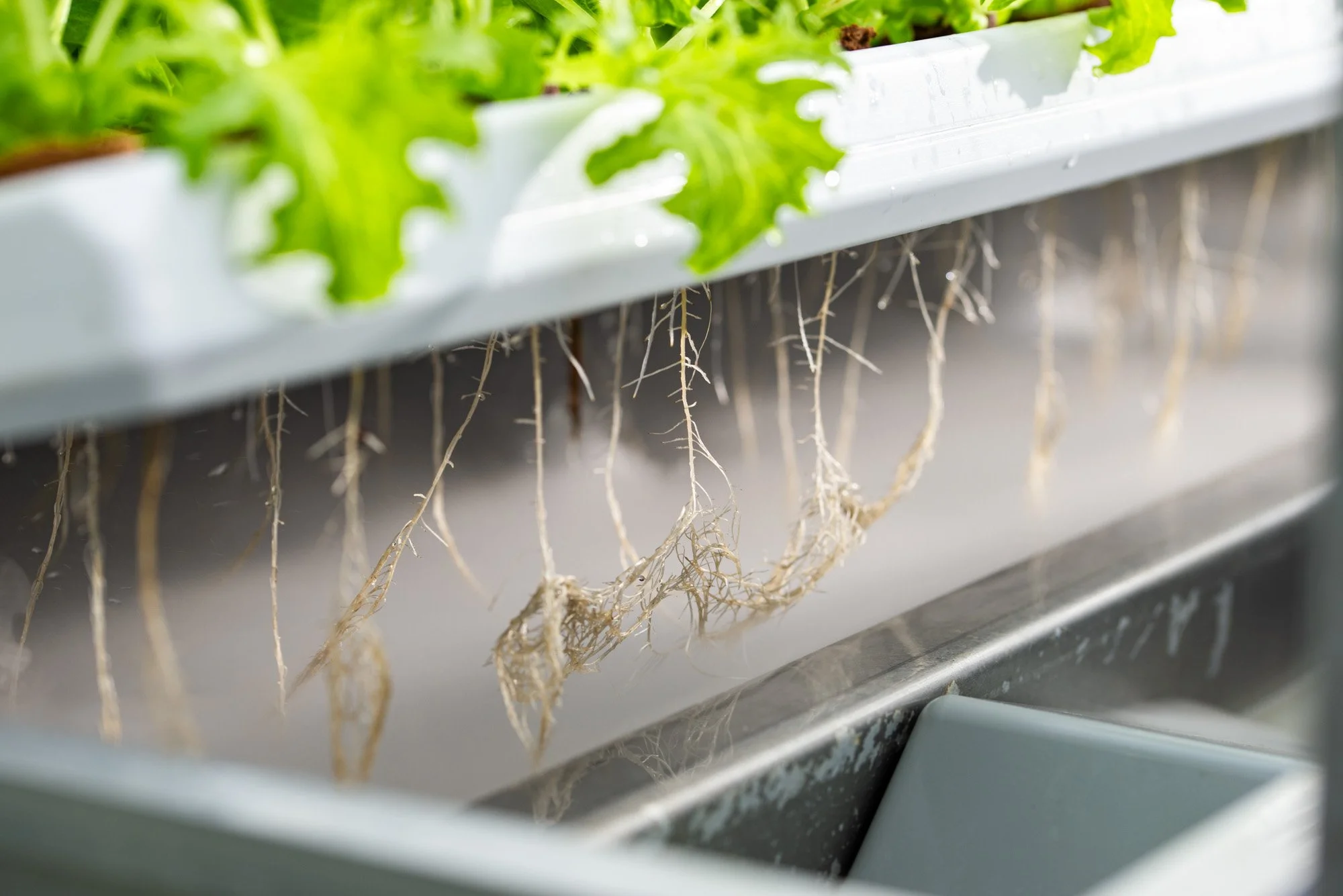 Aeroponic Technology | Indoor Farming | LettUs Grow