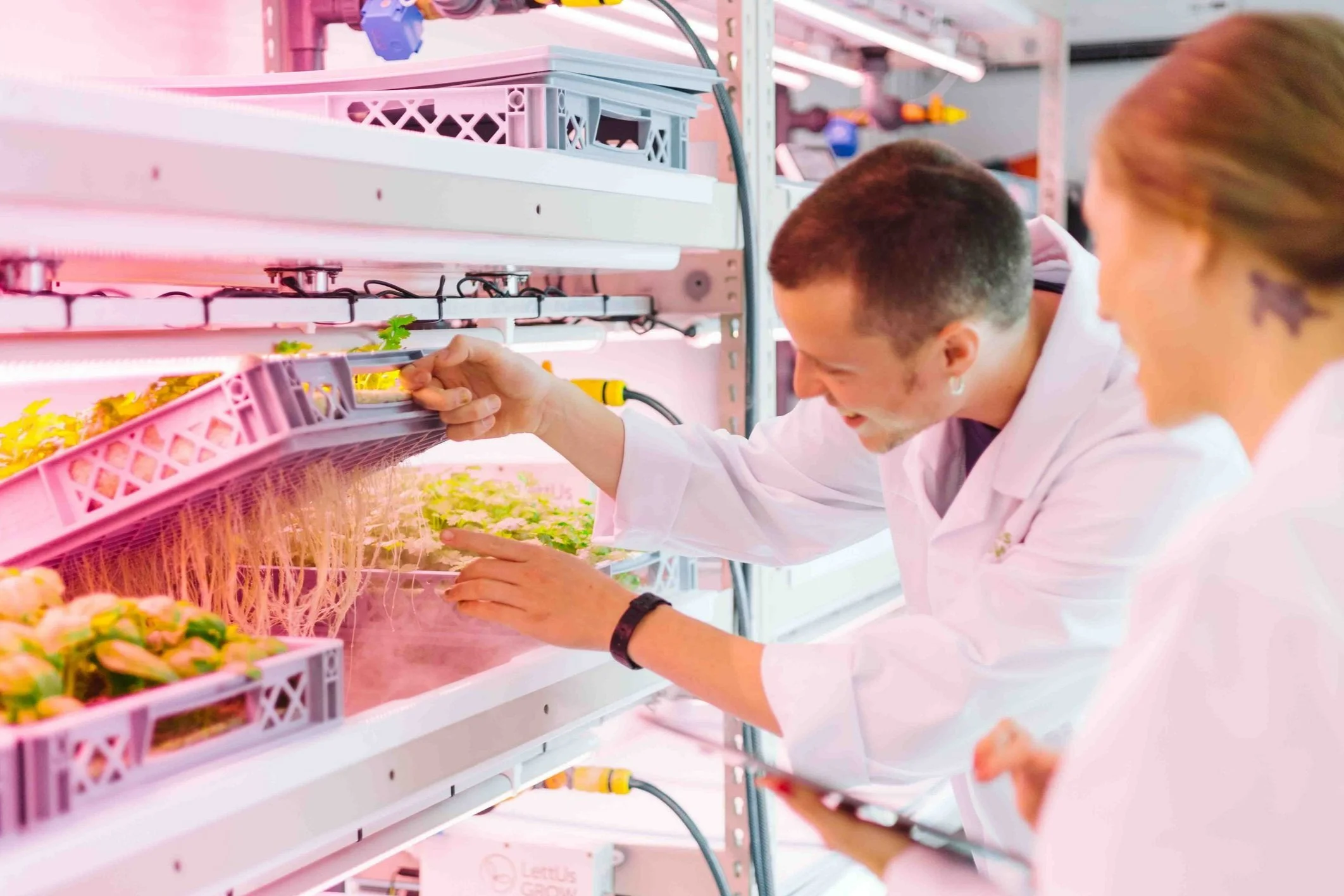 DROP & GROW Aeroponic Container Farm System | LettUs Grow