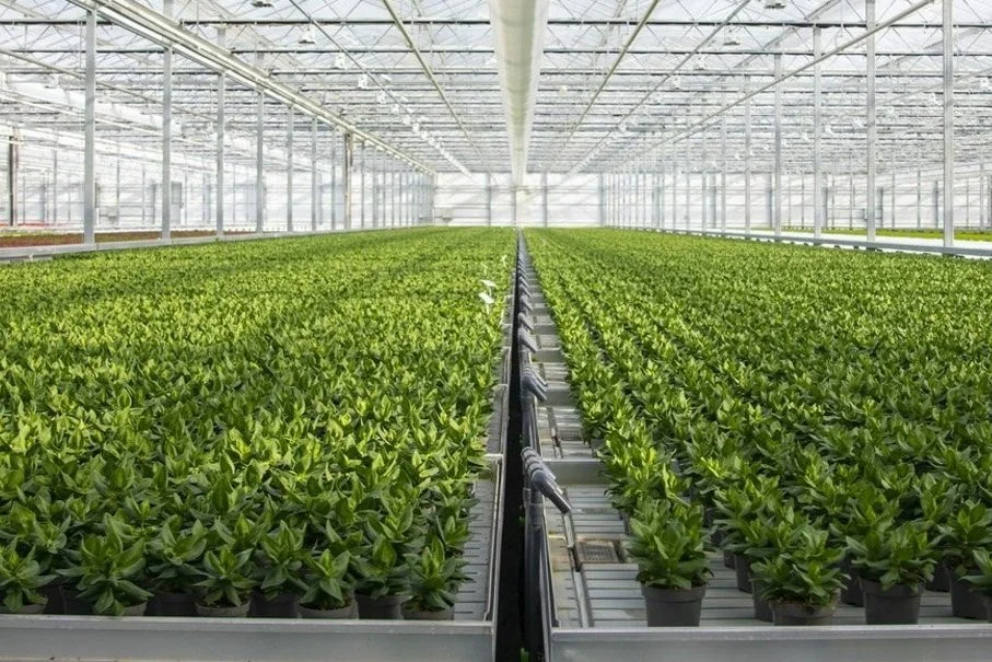 How to reduce the environmental impact of greenhouses