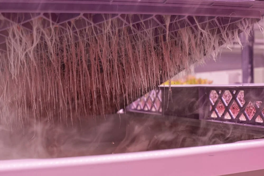 Aeroponic Technology | Indoor Farming | LettUs Grow