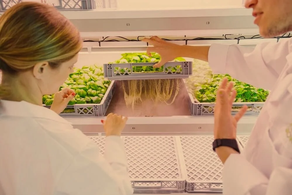 Aeroponic Farming | Vertical Farm Containers | LettUs Grow