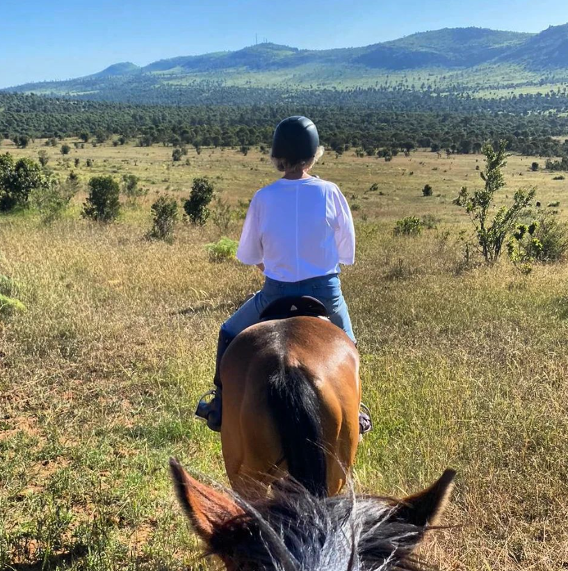 Conservation on horseback; join the Lolldaiga mounted ranger patrol and ...