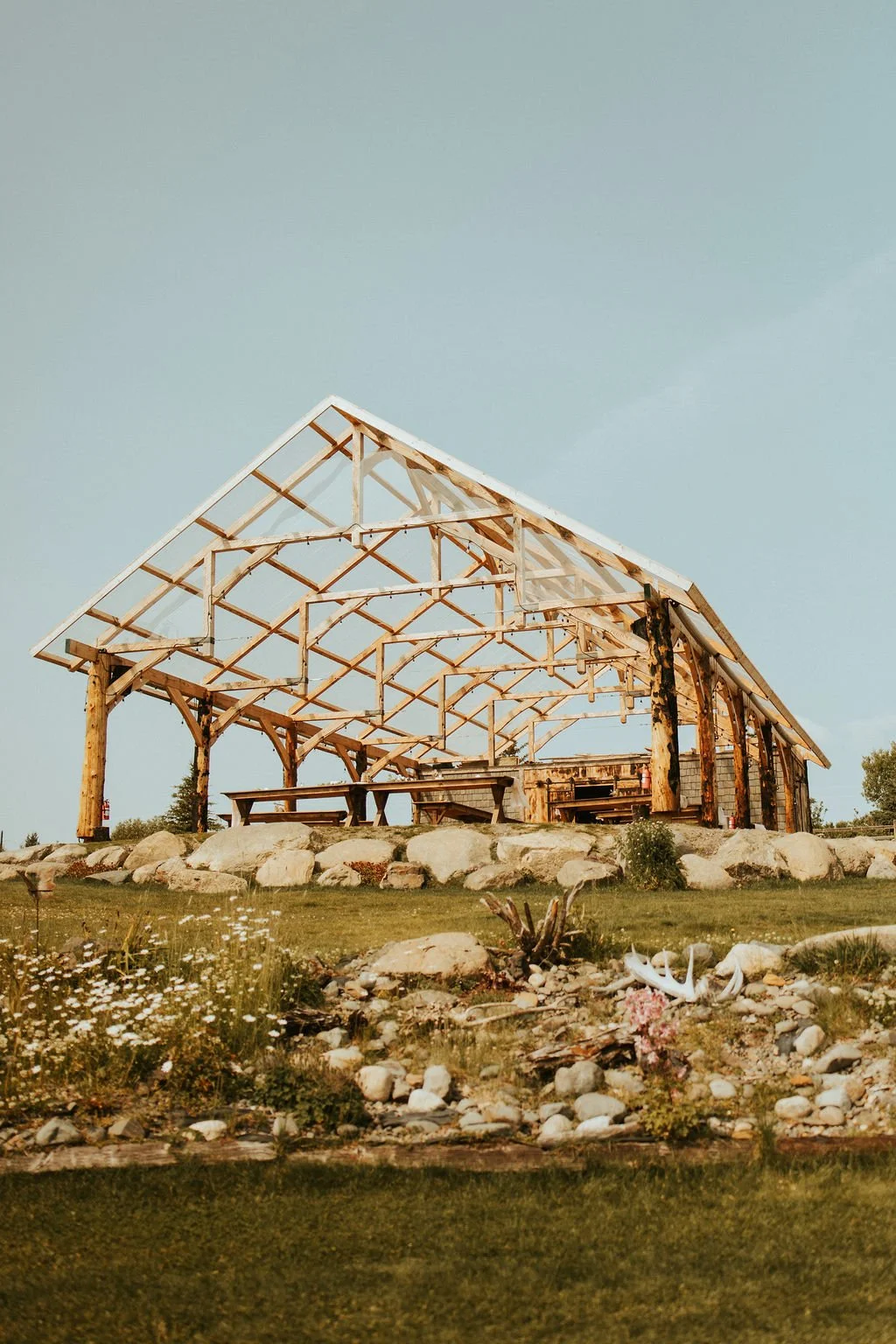 Texas Non-Tradtional Wedding Photographer | Cindy Maiyer Photo