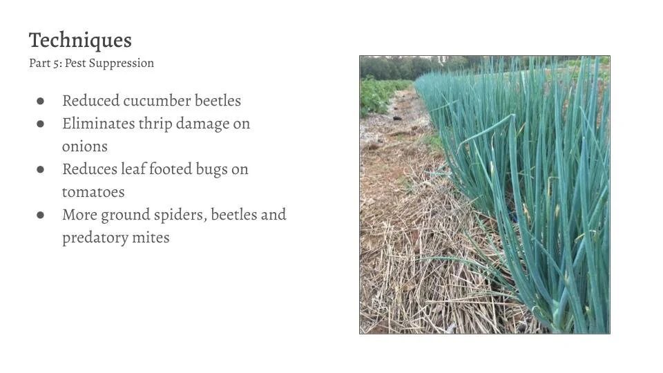 Wild Hope No-Till Cover Crop Presentation — No-Till Growers