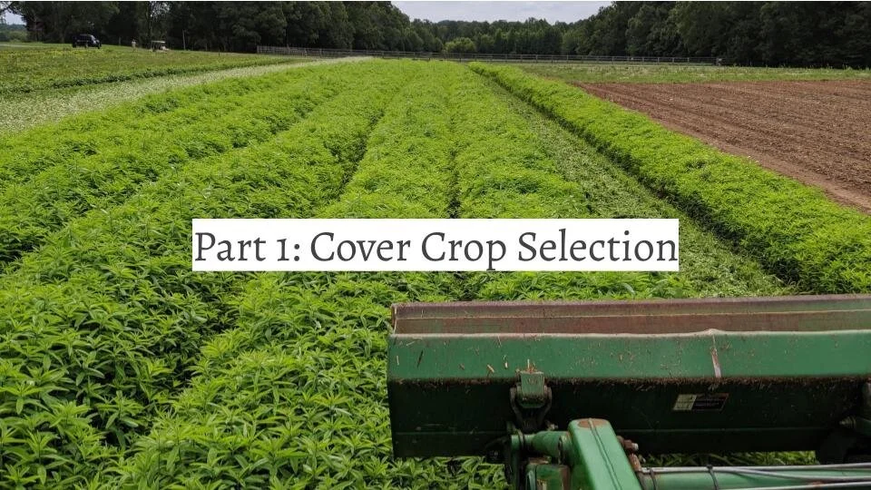 Wild Hope No-Till Cover Crop Presentation — No-Till Growers