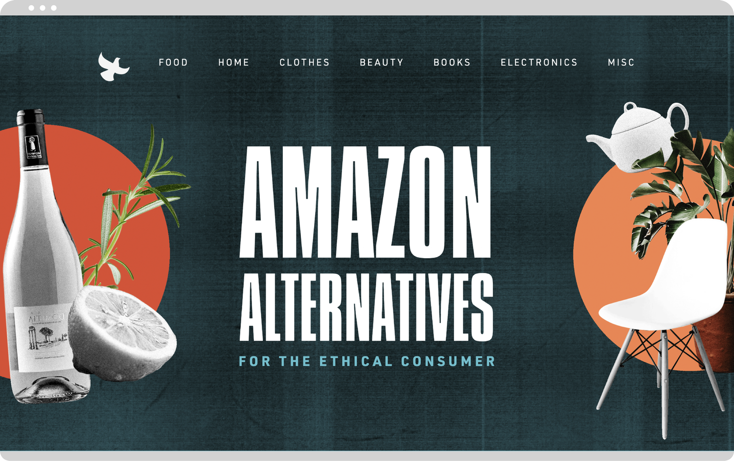 Amazon Alternatives — Ariel Saloman