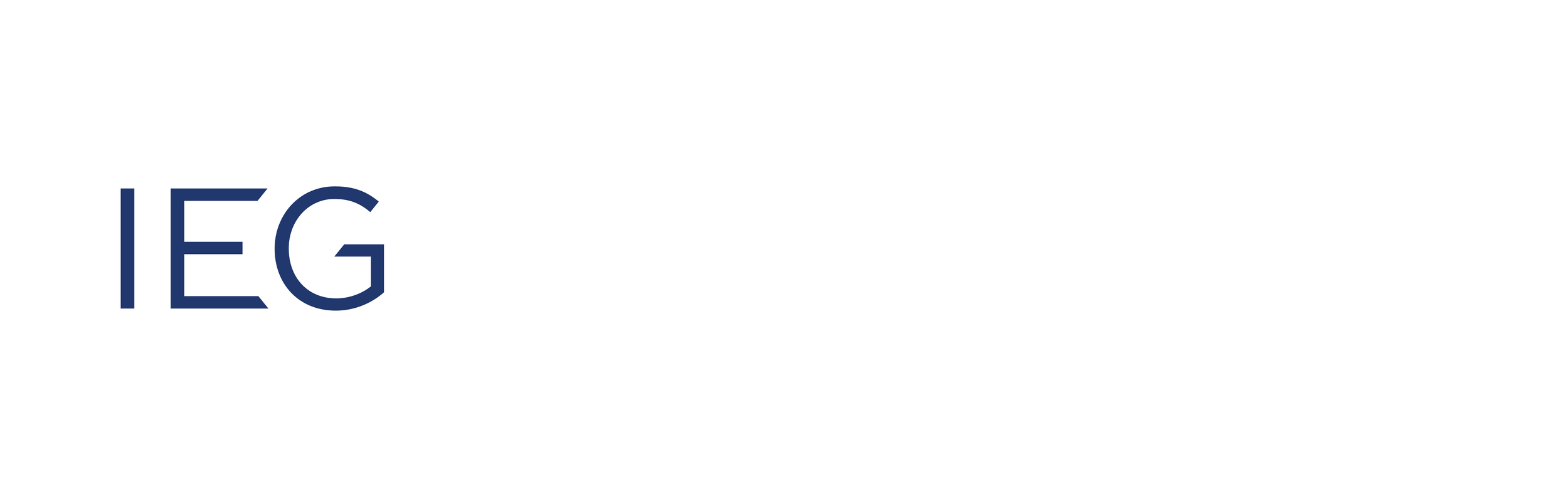 IEG Innovative Engineering Group