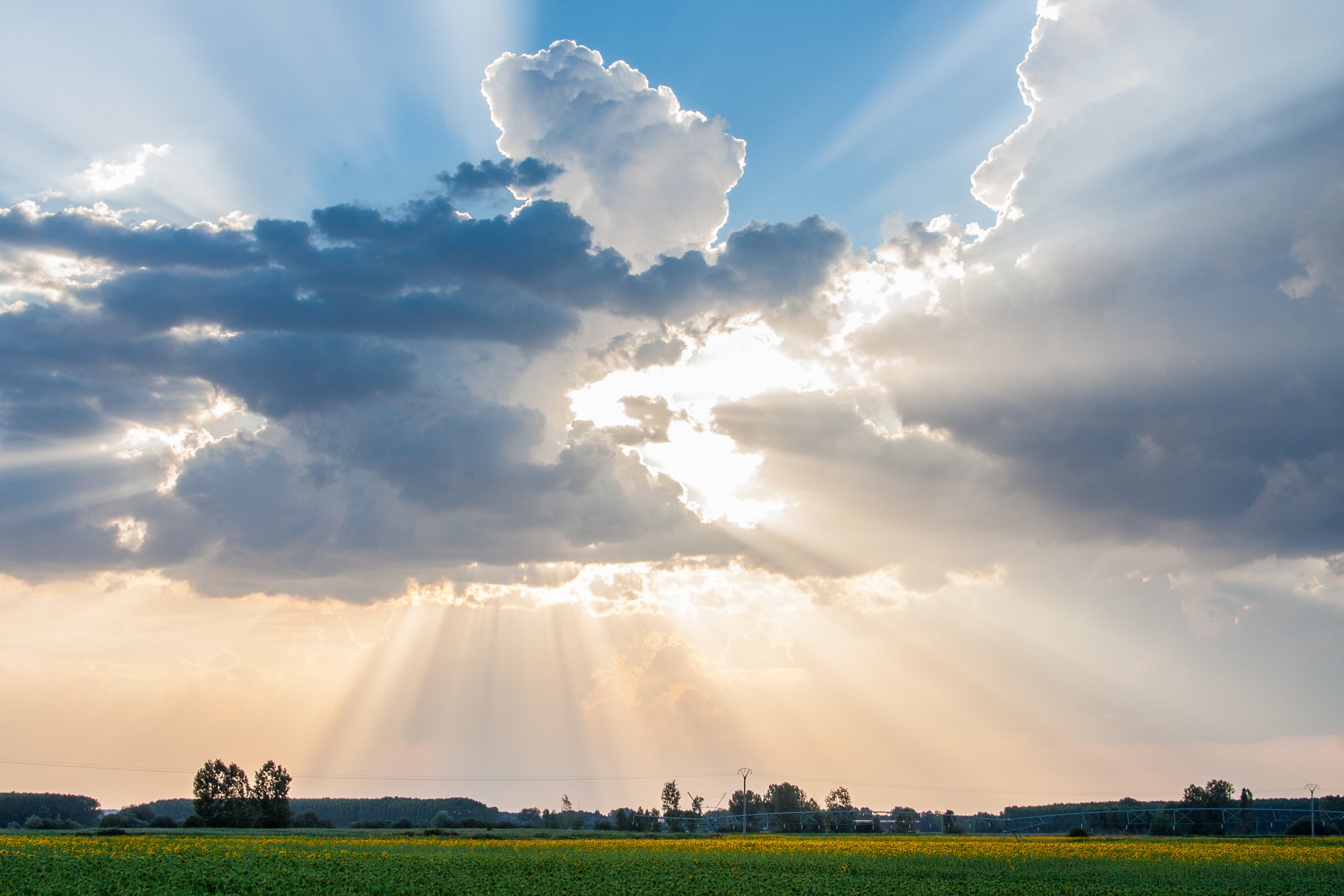 States with Untapped Solar Markets — Exactus Energy States with Untapped Solar Markets — Exactus Energy