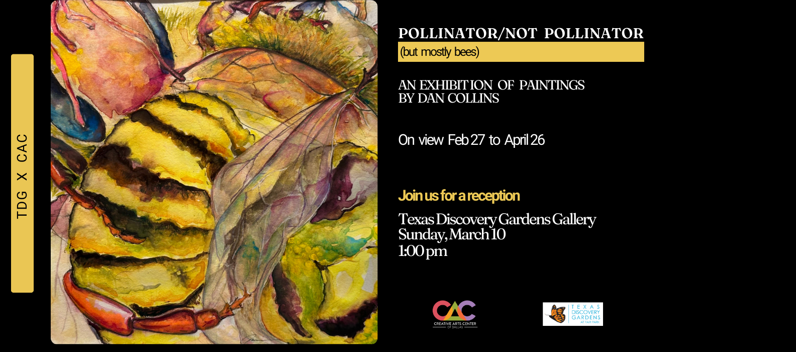 Creative Arts Center of Dallas