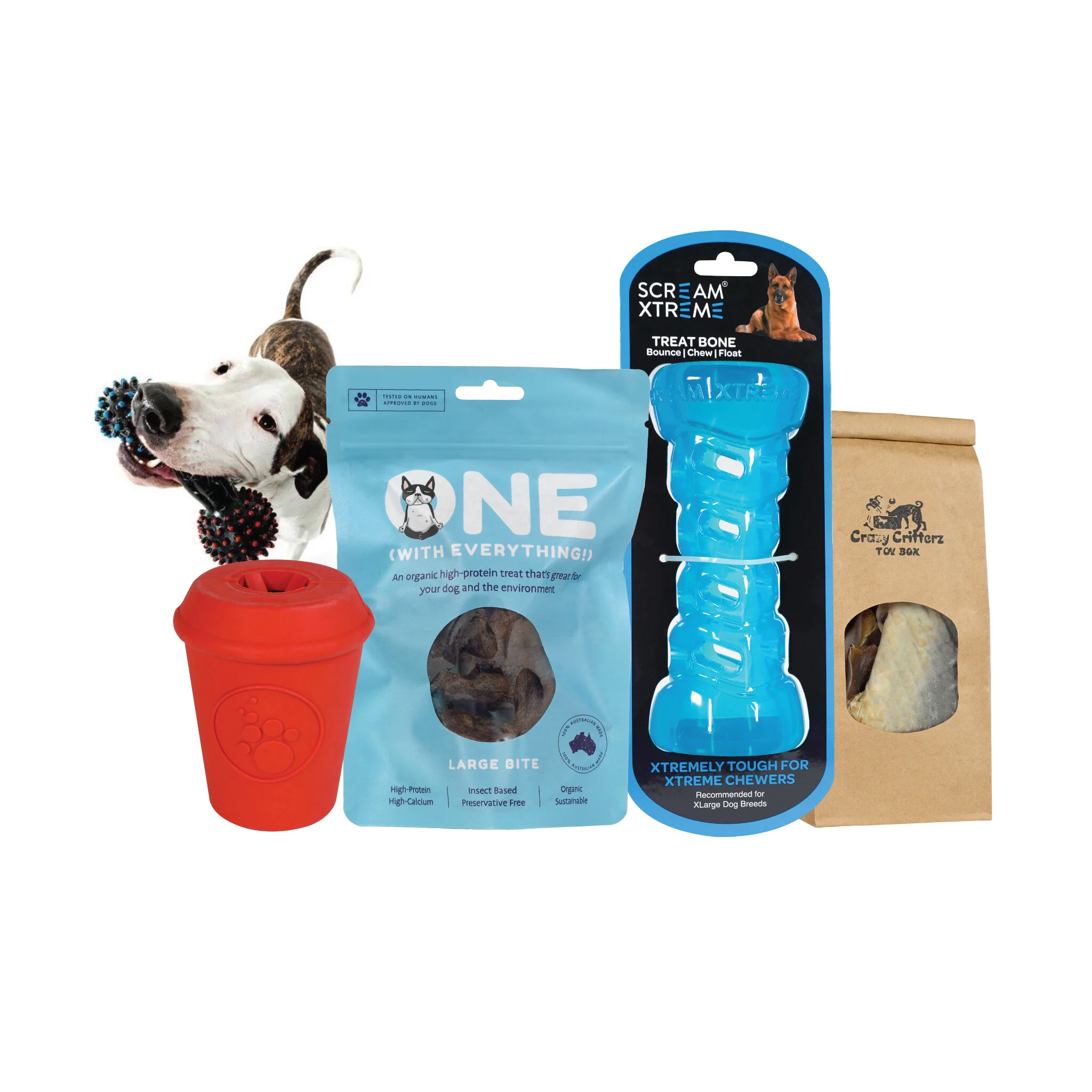 Welfare Boxes — Crazy Critterz Toy Box