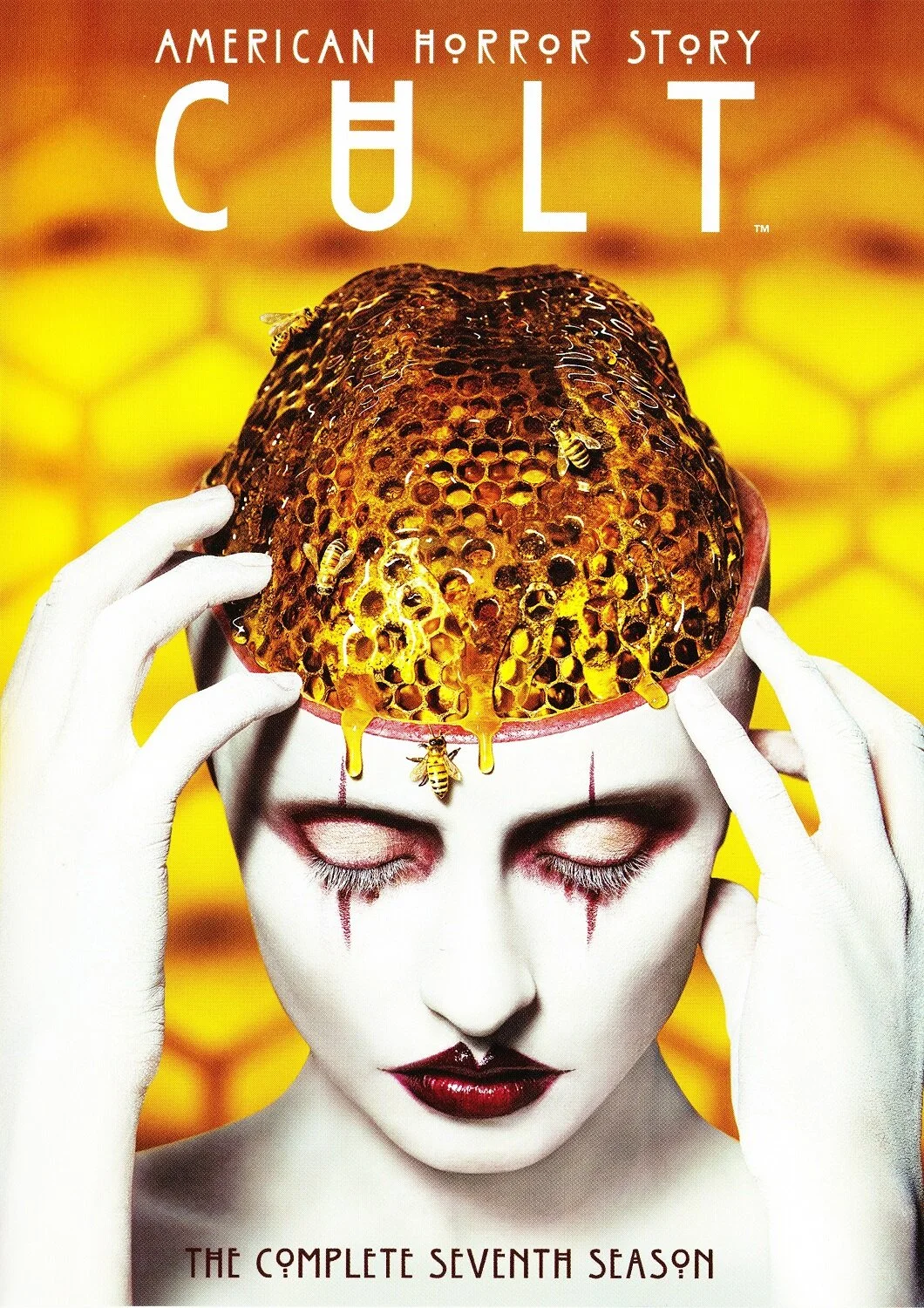 American Horror Story Dvd Collection