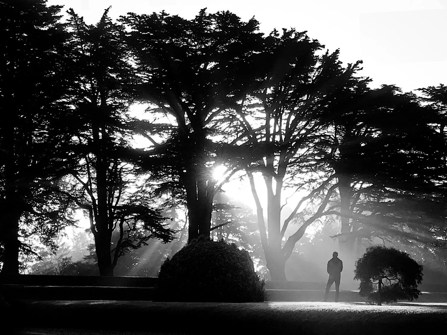 Good Composition - Balancing Elements — Diane Wehr Street Photography