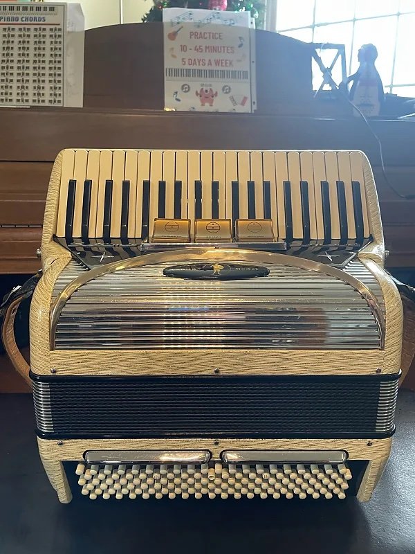 Accordion & Harmonium Repair. Professional Instrument Technician. Reed ...