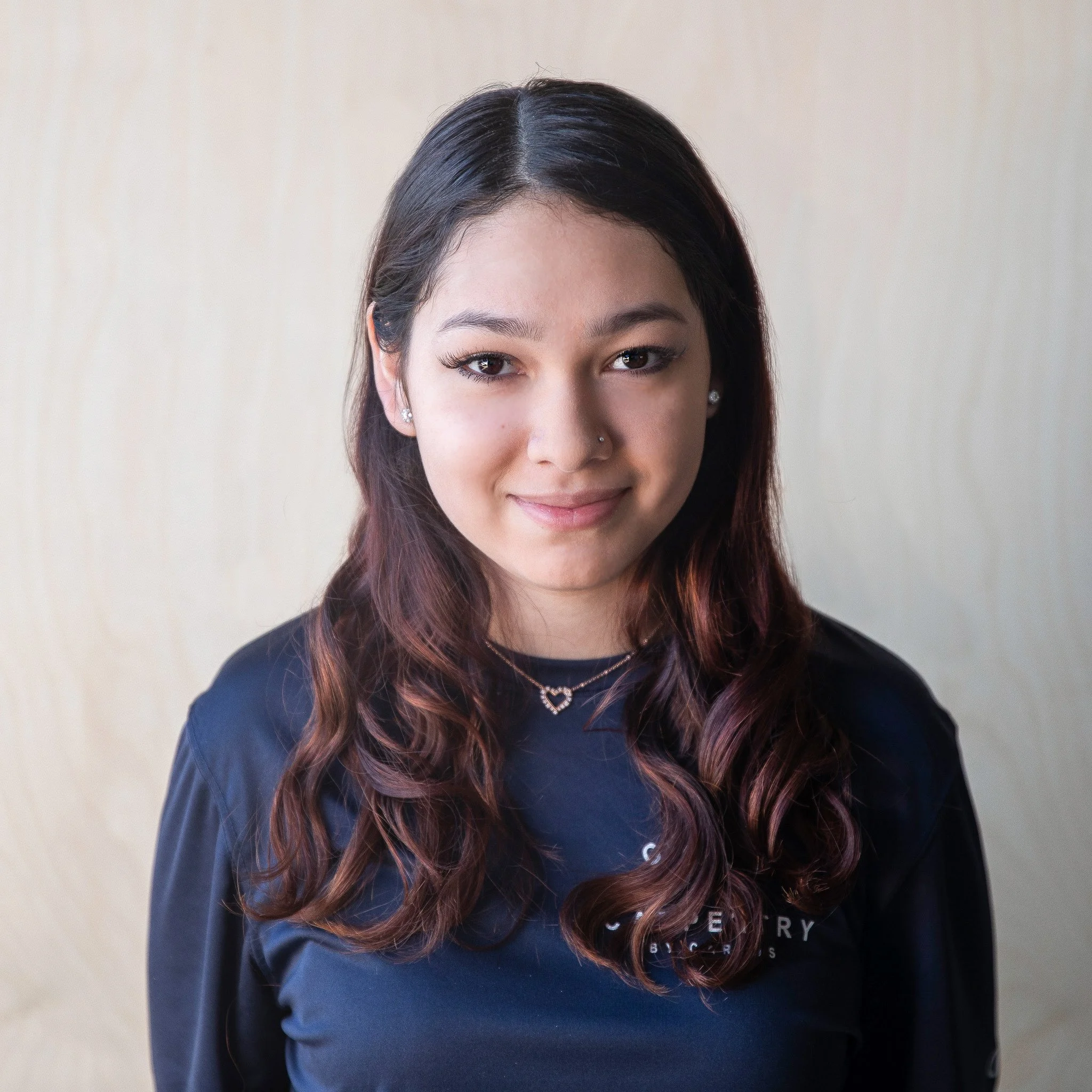 Houston Carpenter Specializing in Custom Cabinets