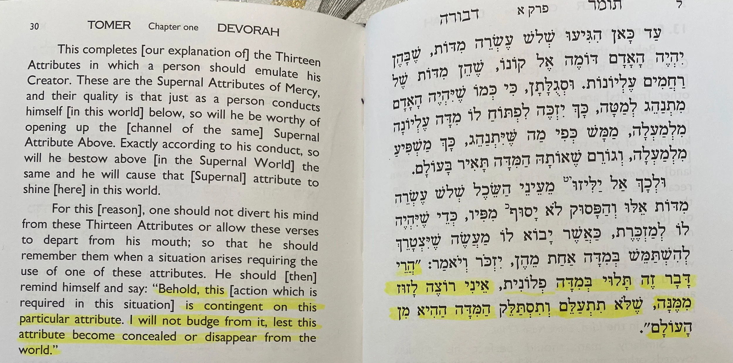 TomerDevoraTheWork — KAVConnect