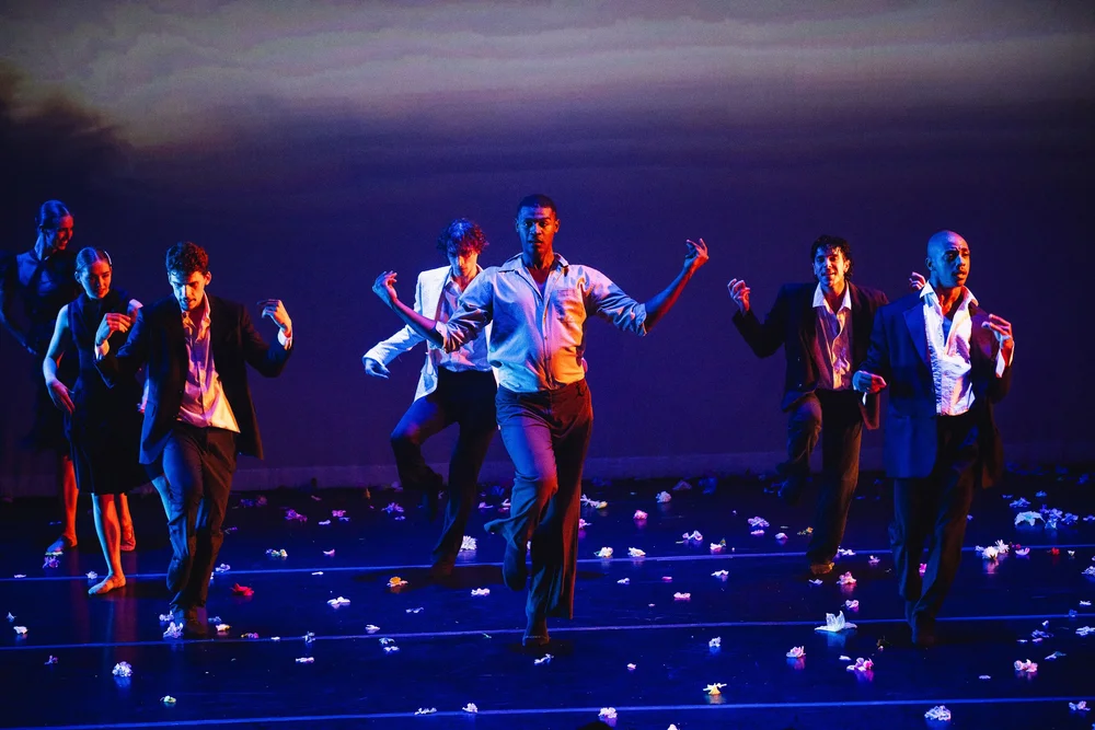 Adult True Beginner Ballet Class Tampa City Ballet