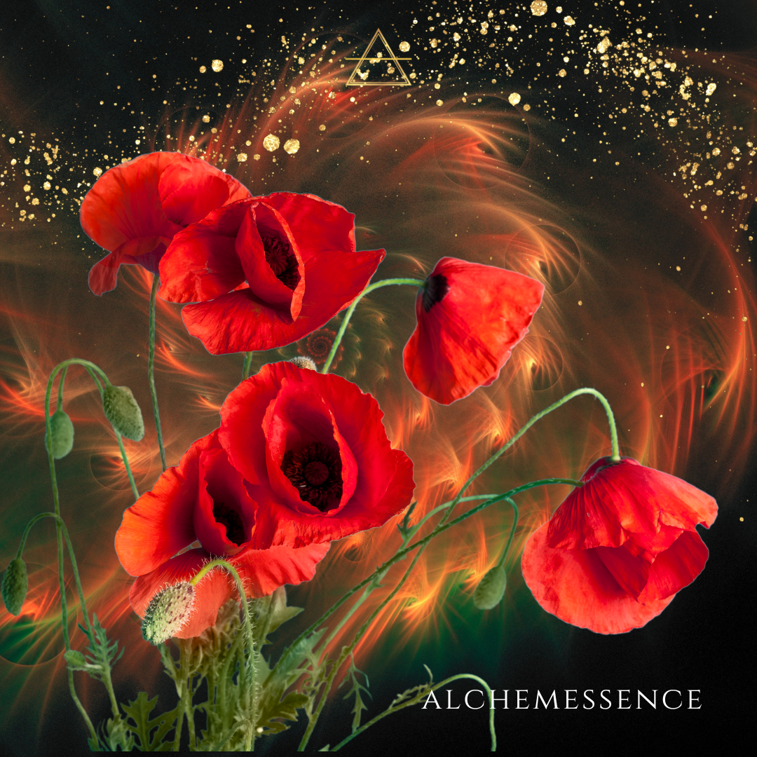 Flower Essences — Alchemessence™