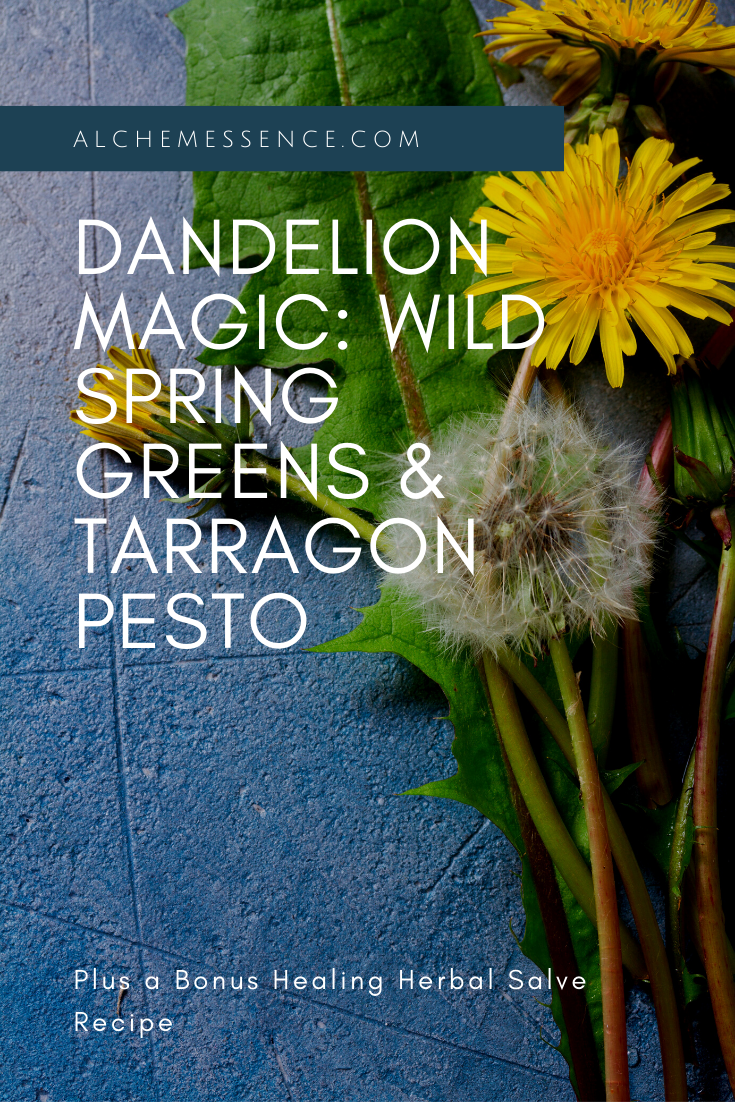Dandelion Magic: Wild Spring Greens & Tarragon Pesto (Plus a Bonus ...