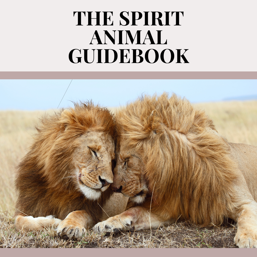 The Spirit Animal Workshop — Alchemessence™