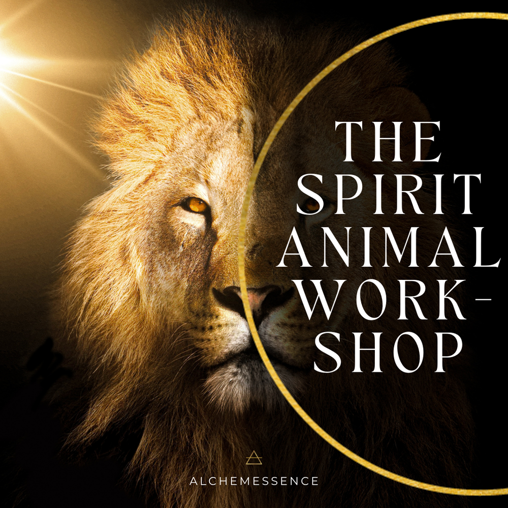 Spirit Animals Symbols