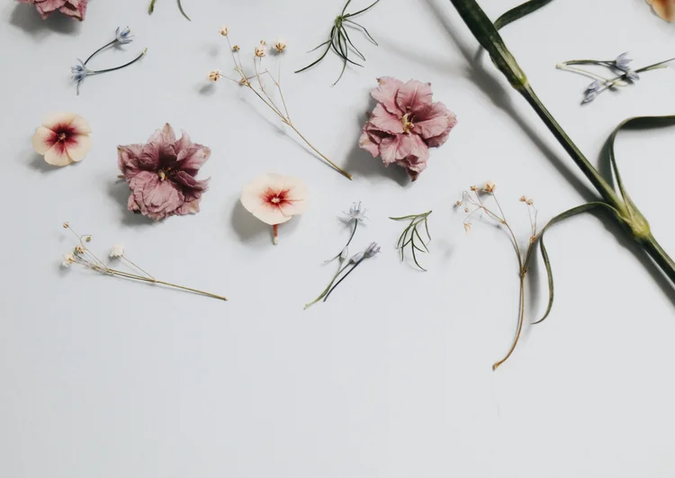 The Alchemy of Making Spiritual Perfumes — Alchemessence™