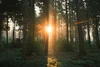 The Sacred Art of Earth Connection: Transforming Grief into Hope ...