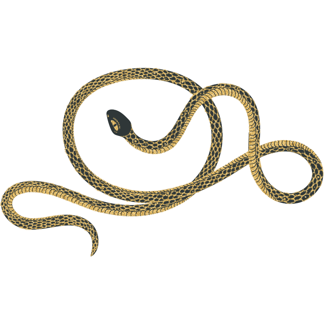 Who are the spirits of nature? A comprehensive guide to nature spirits ...