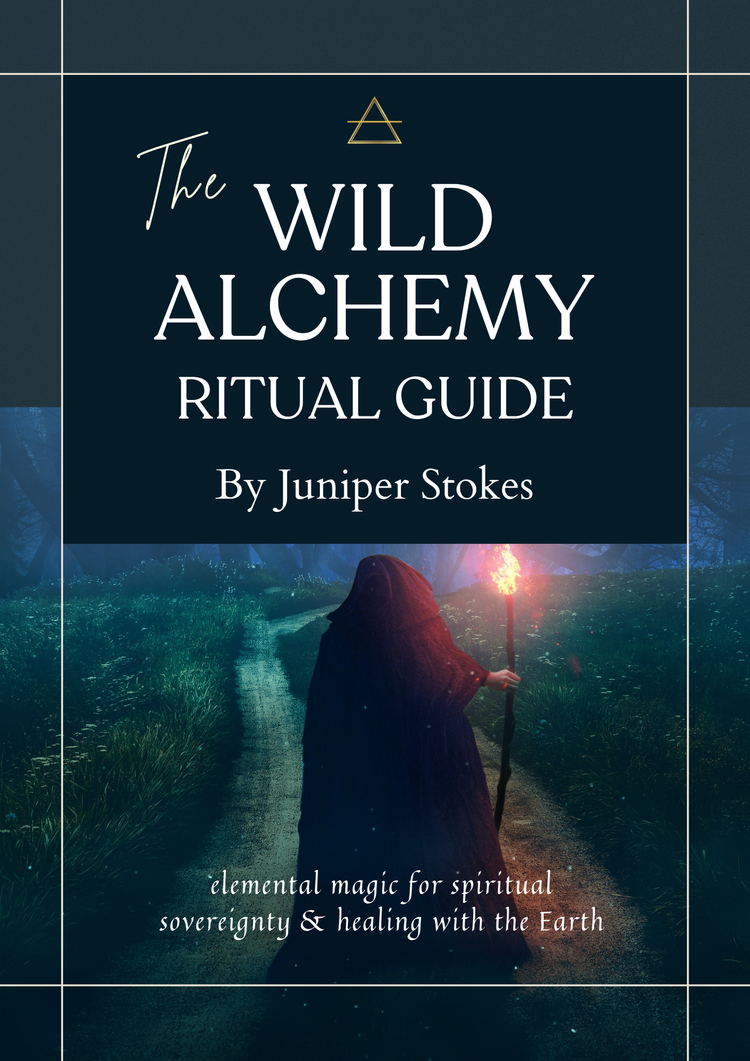 Wild Alchemy Ritual Guide | Unlock Sacred Magic — Alchemessence™