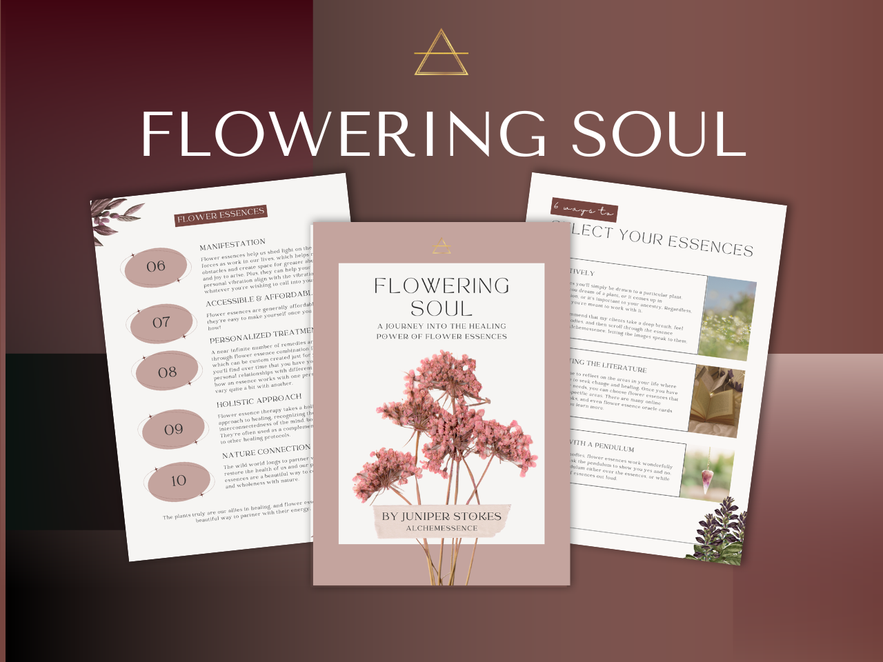 Spiritual Rewilding — Alchemessence™