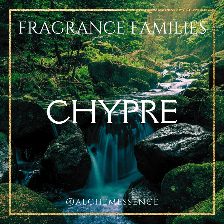 A Guide to Natural Perfume Fragrance Families — Alchemessence™