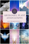 The Mystical and Magical Emergence of Angel Oils — Alchemessence™