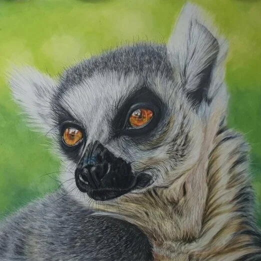 Lemur Art