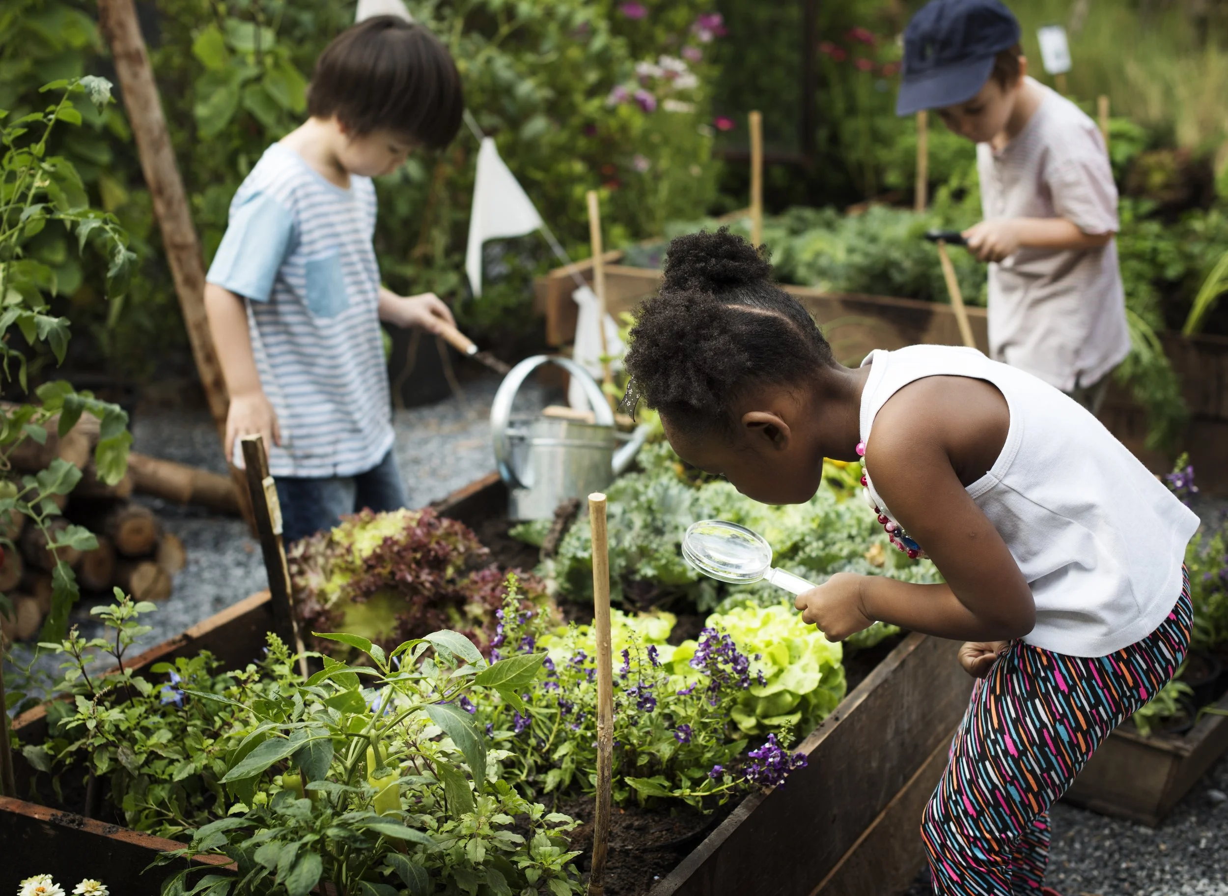 Using Summertime to Spark Creativity and STEAM Learning — Pink Space Theory