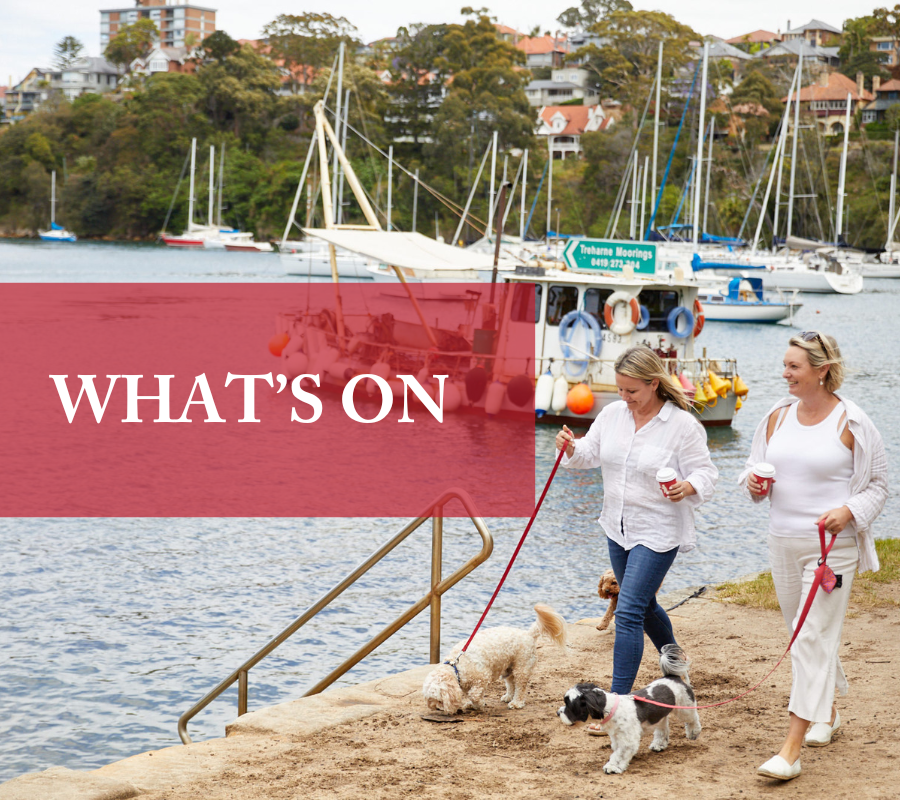 A local institution | Mosman Rowers Club