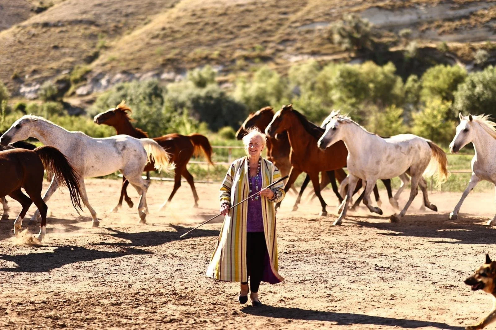 About the Owner — Gypsy Farmhouse