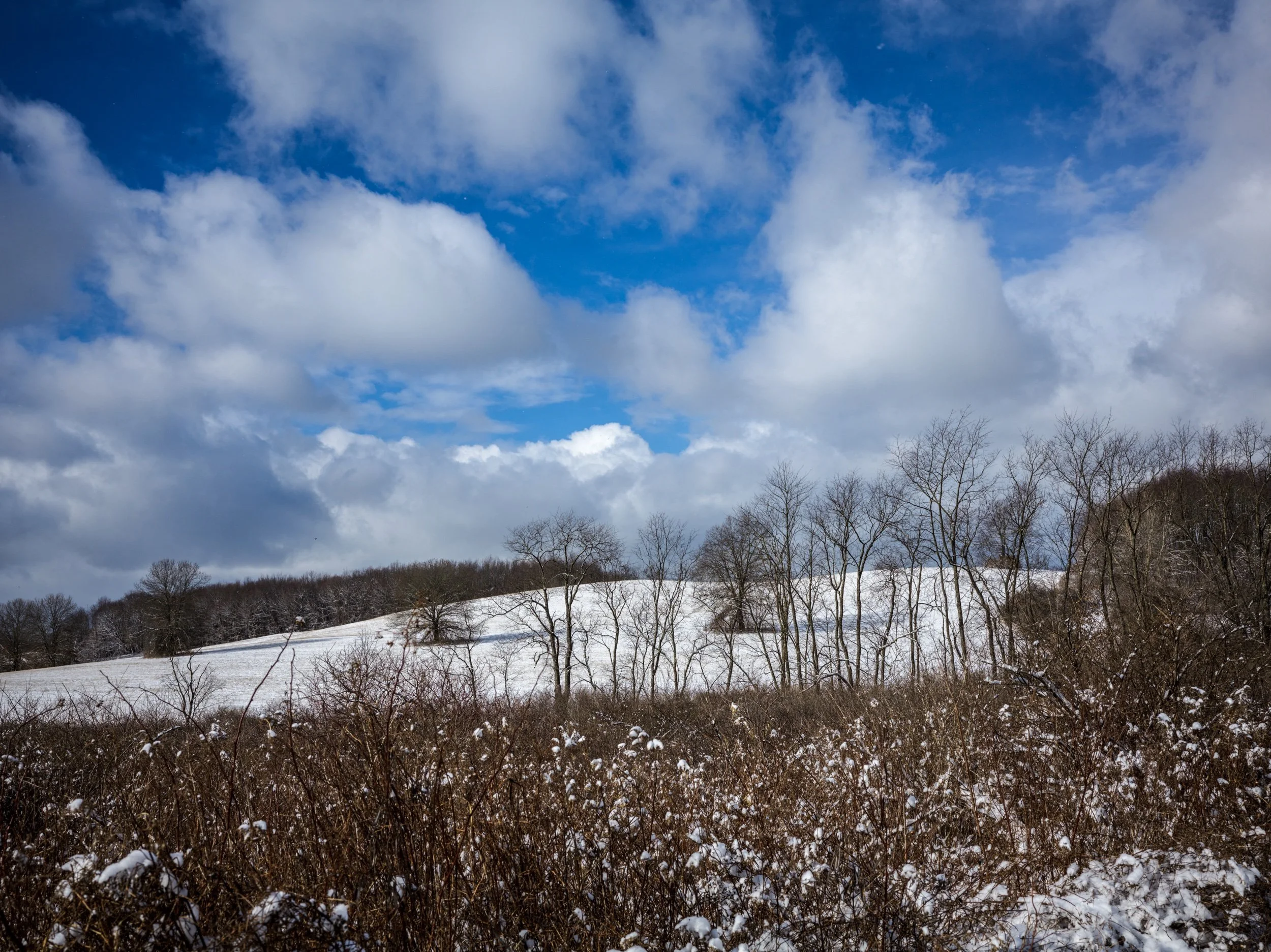 Tom Darby Photography