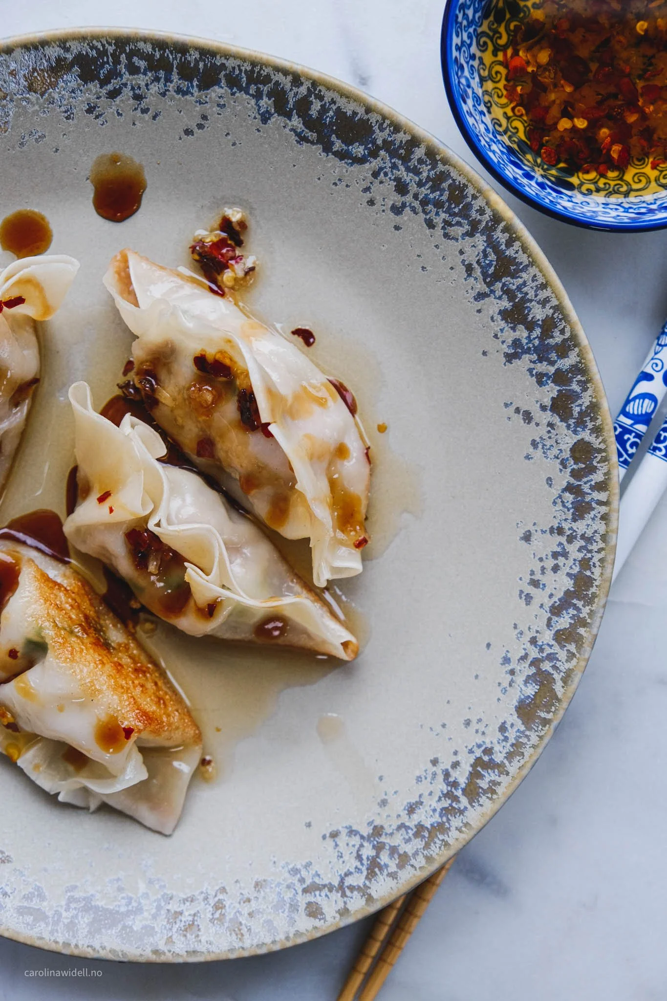Gyoza dumplings med svinekjøttdeig og vårløk