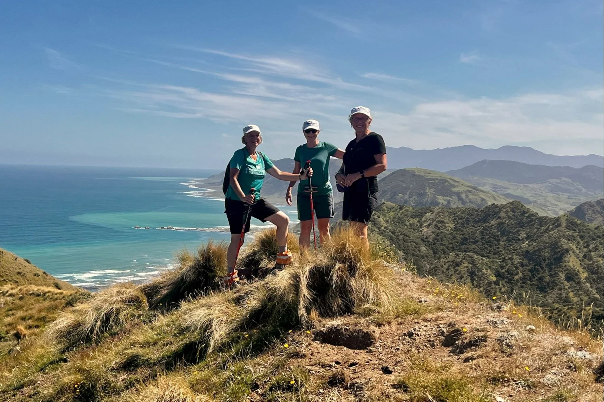 The Tora Coastal Hike: Wild Beauty, Rugged Trails & Our New Zealand ...