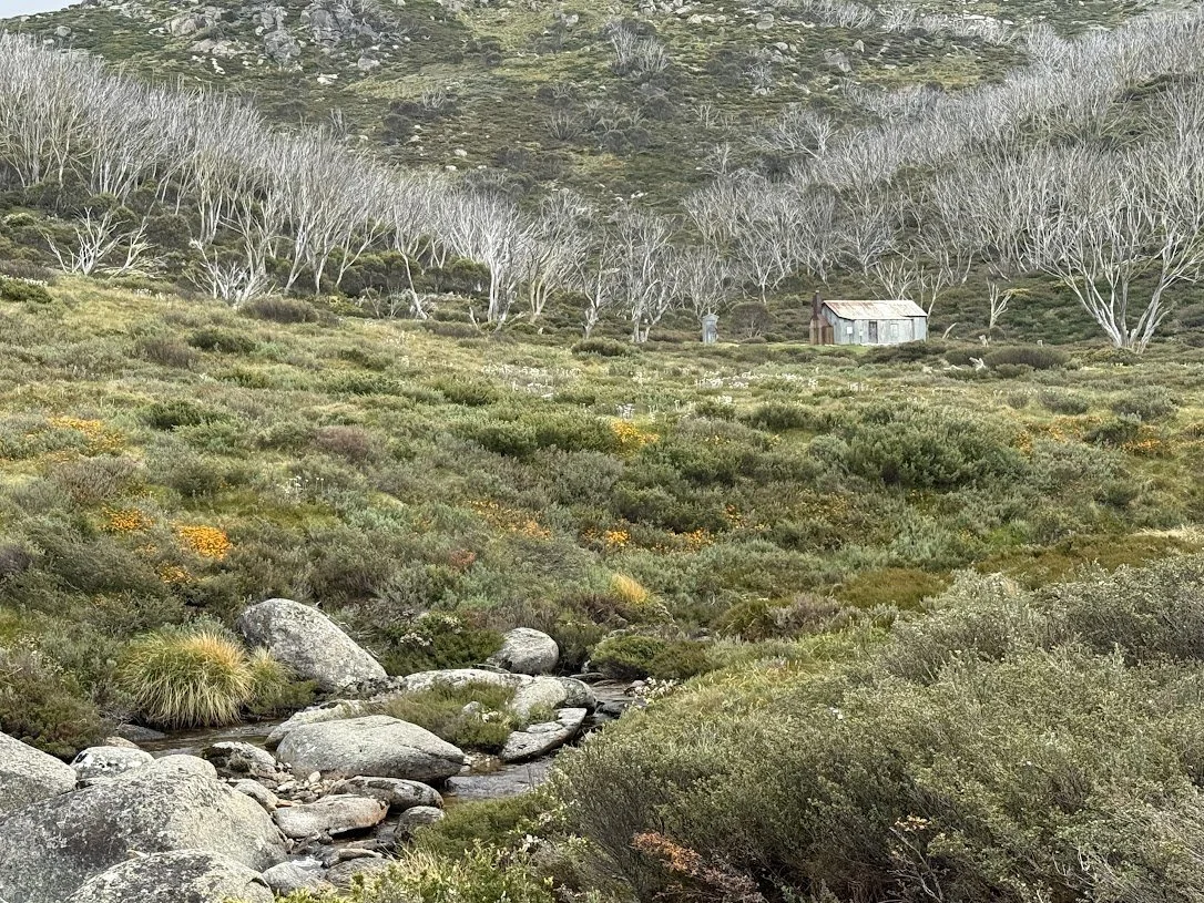 Kosciuszko Historical Huts Hike — Women's Hiking Group | Diamonds in ...