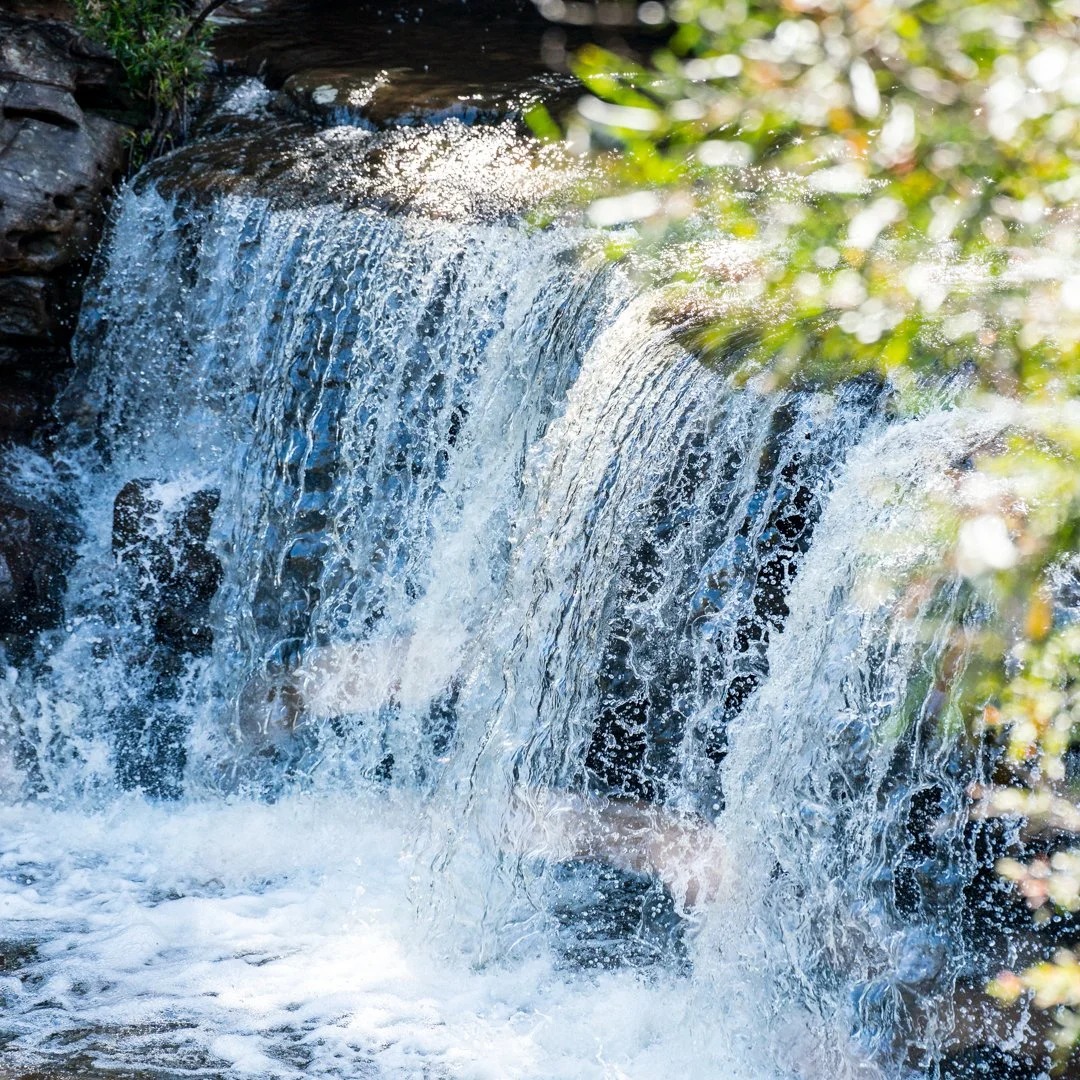 Best Waterfall Hikes in Sydney — Women's Hiking Group | Diamonds in the ...