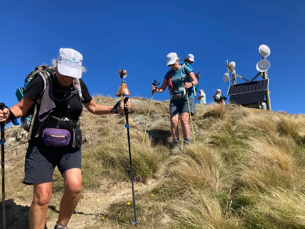 The Tora Coastal Hike: Wild Beauty, Rugged Trails & Our New Zealand ...