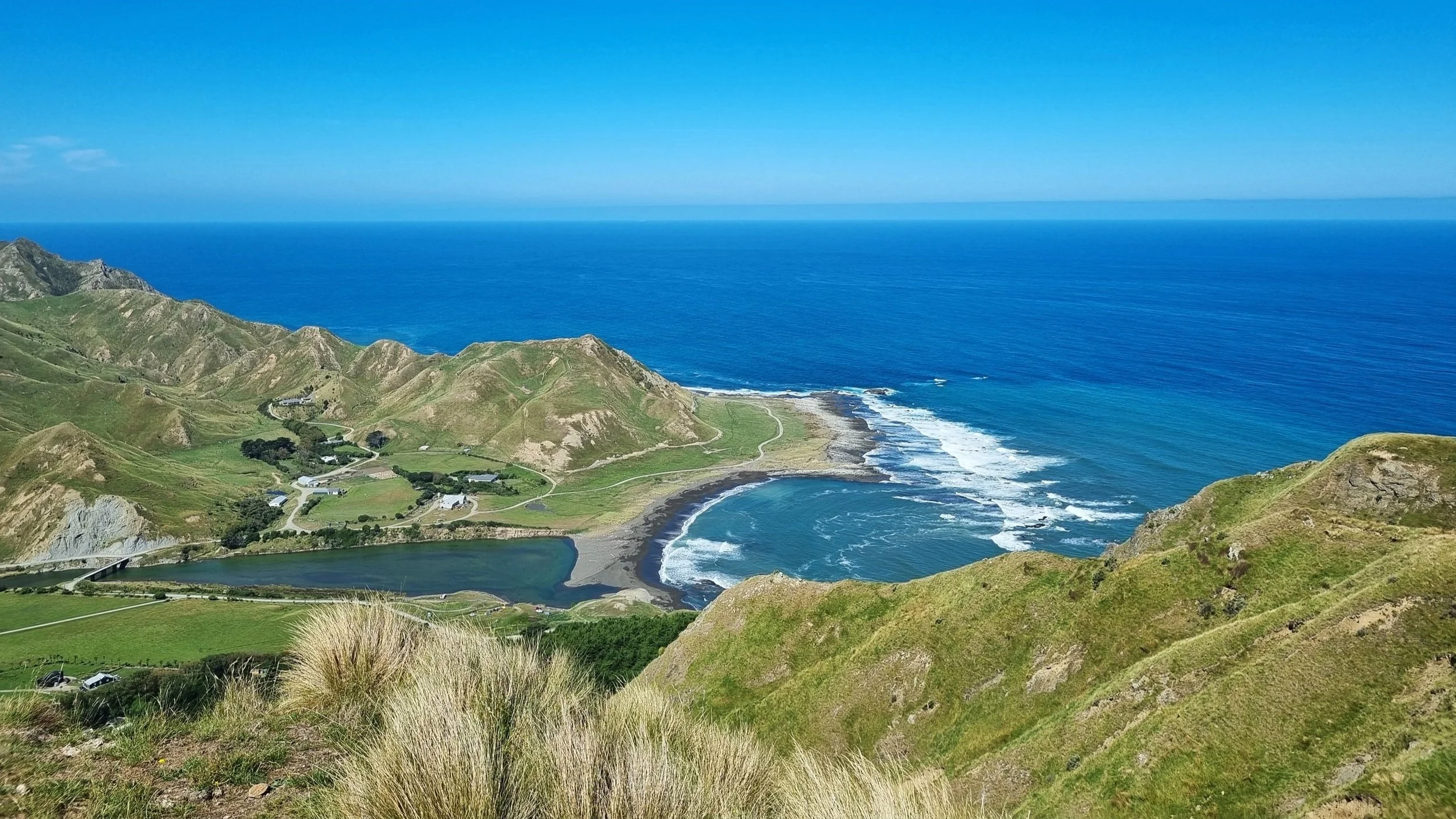 The Tora Coastal Hike: Wild Beauty, Rugged Trails & Our New Zealand ...