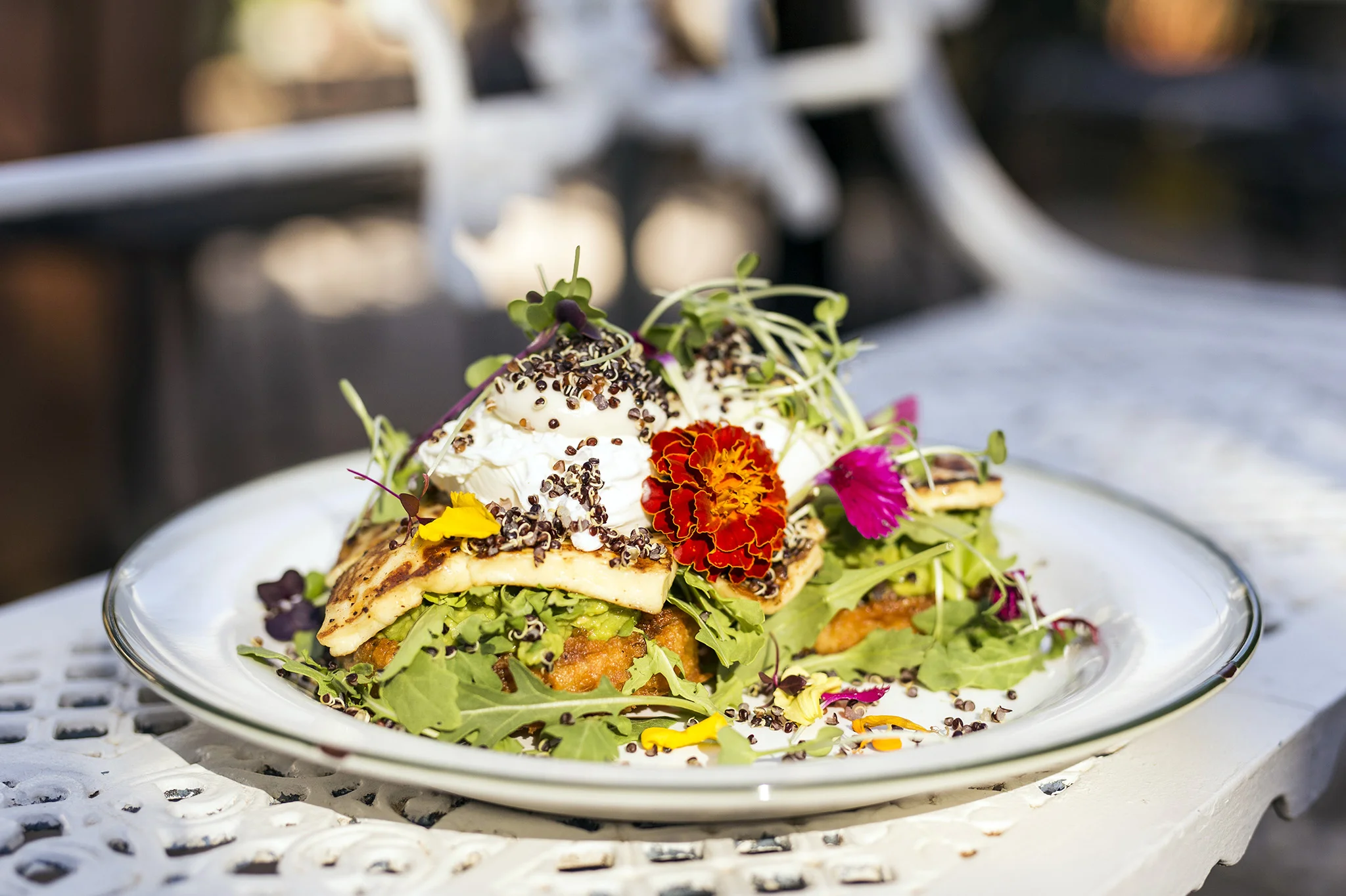 Old Man Drews Menu's — Old Man Drew Cafe